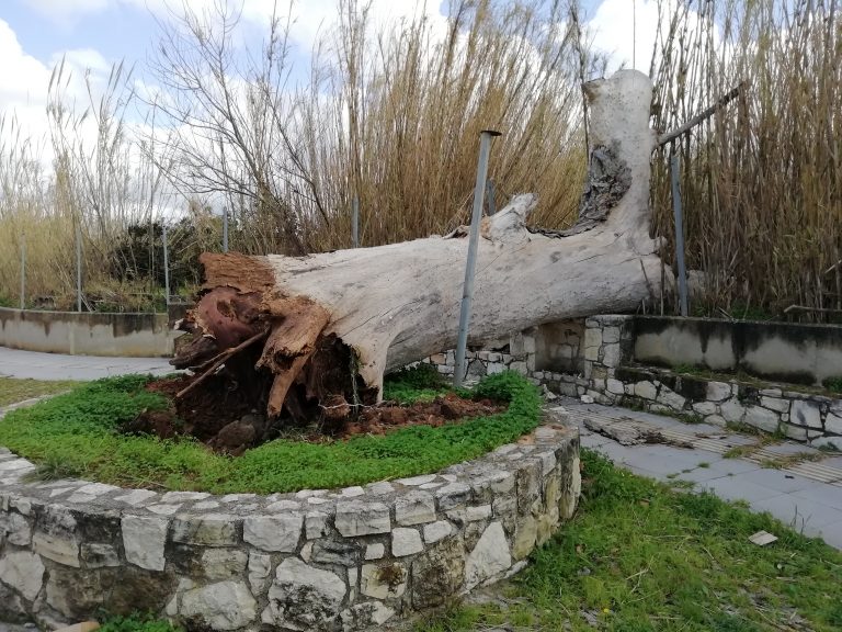 Υπο-νοούμενα - Αγώνας της Κρήτης